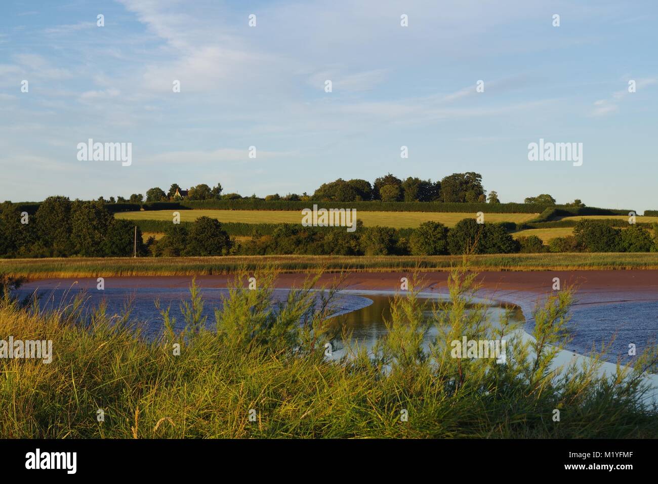 Tranquil Curvaceous River Clyst at Low Tide on a Calm Summer Evening ...