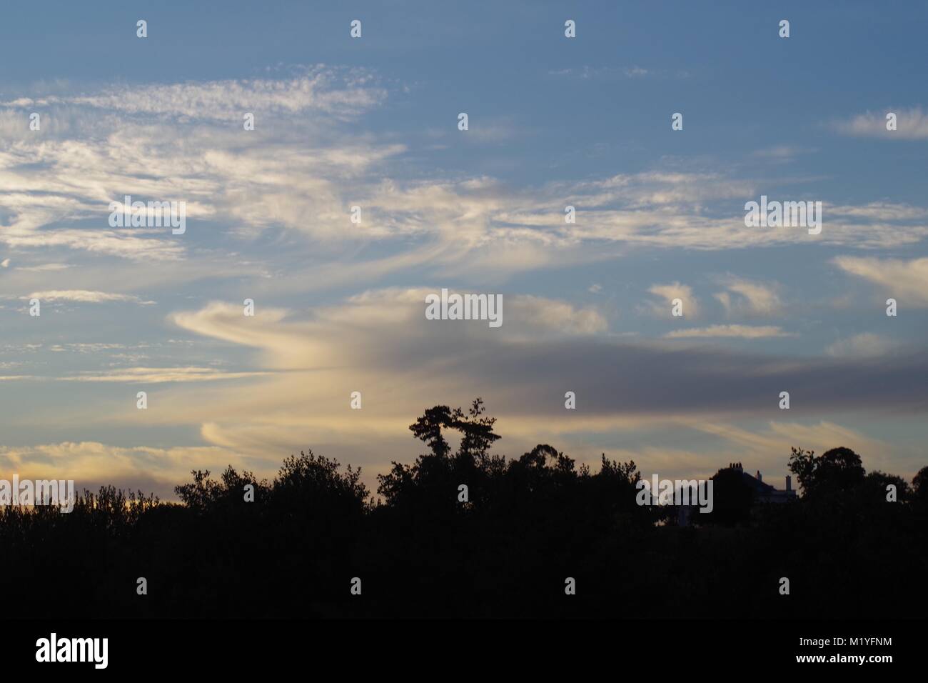 Subtle Sunset with Interesting Clouds and a Silhouetted Hedge Row on a ...
