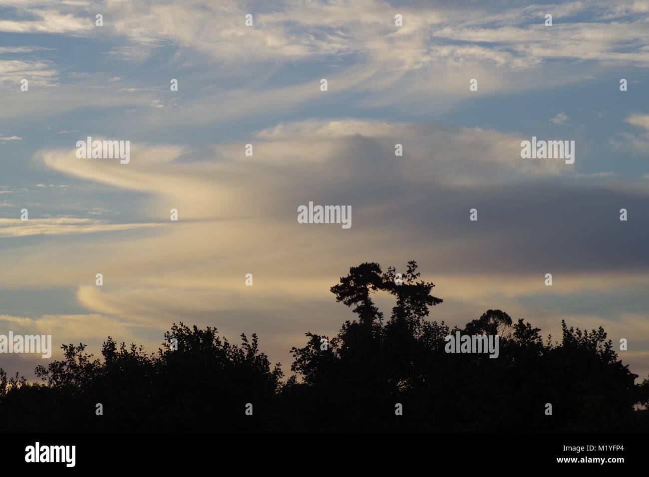 Subtle Sunset with Interesting Clouds and a Silhouetted Hedge Row on a ...