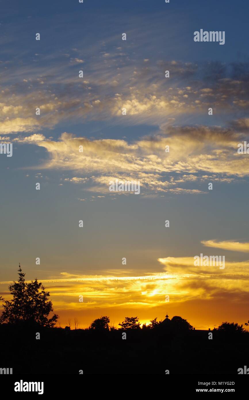 Summer Sunset over Devon Countryside, Silhouetting a Hedge Row, Fair Weather Altocumulus Clouds ...
