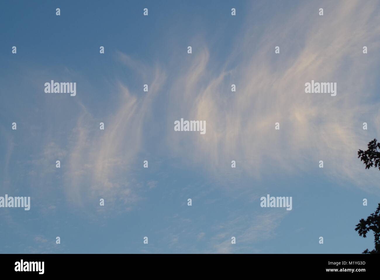 Interesting Summer Evening Clouds at Sunset. Altocumulus and ...