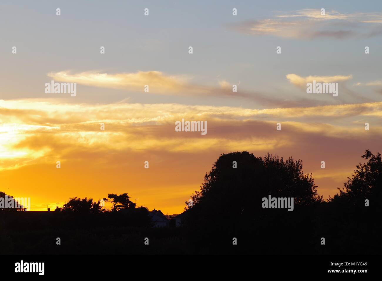 English Treeline High Resolution Stock Photography and Images - Alamy