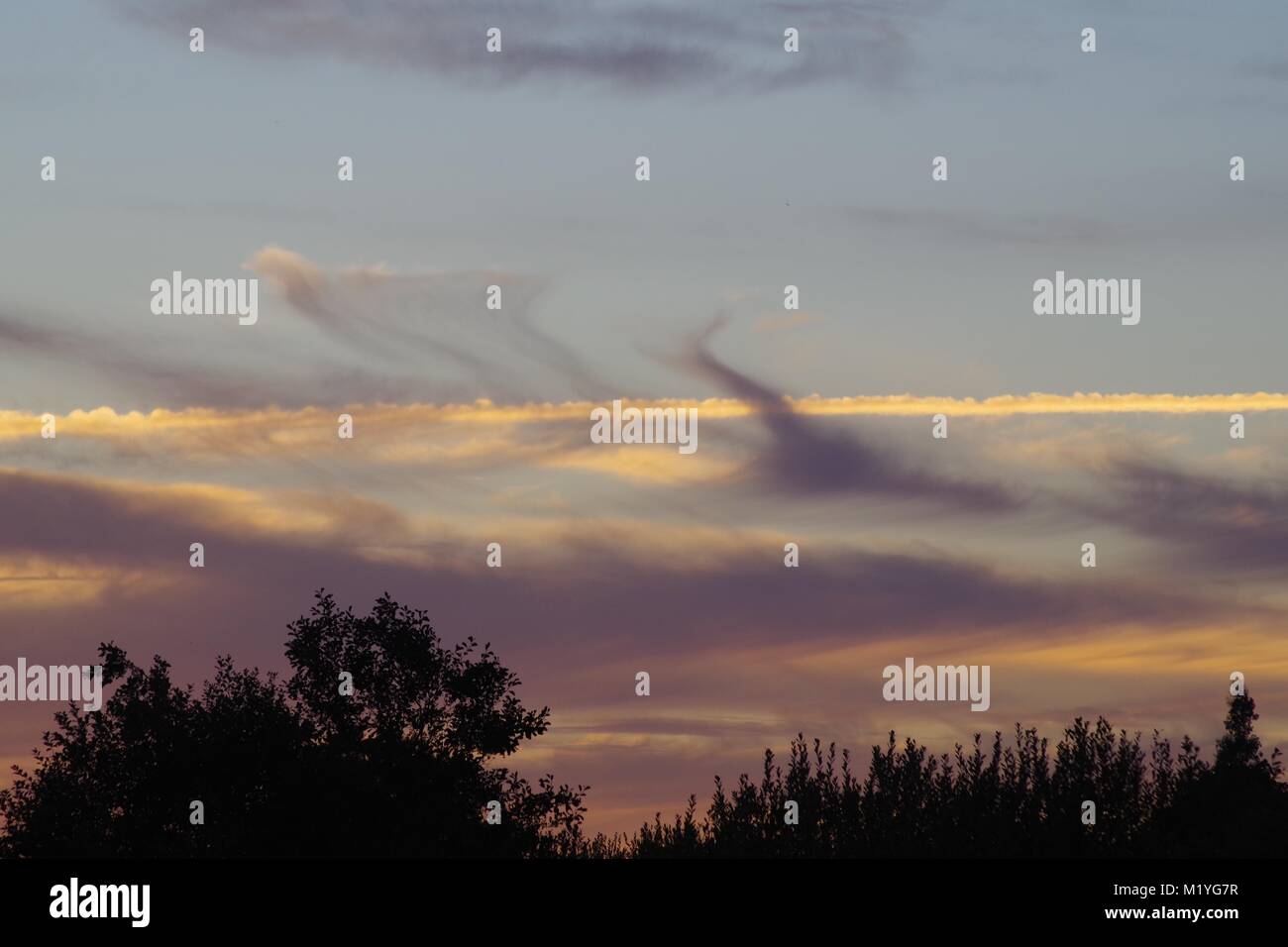 Subtle Sunset with Interesting Clouds and a Silhouetted Hedge Row on a ...