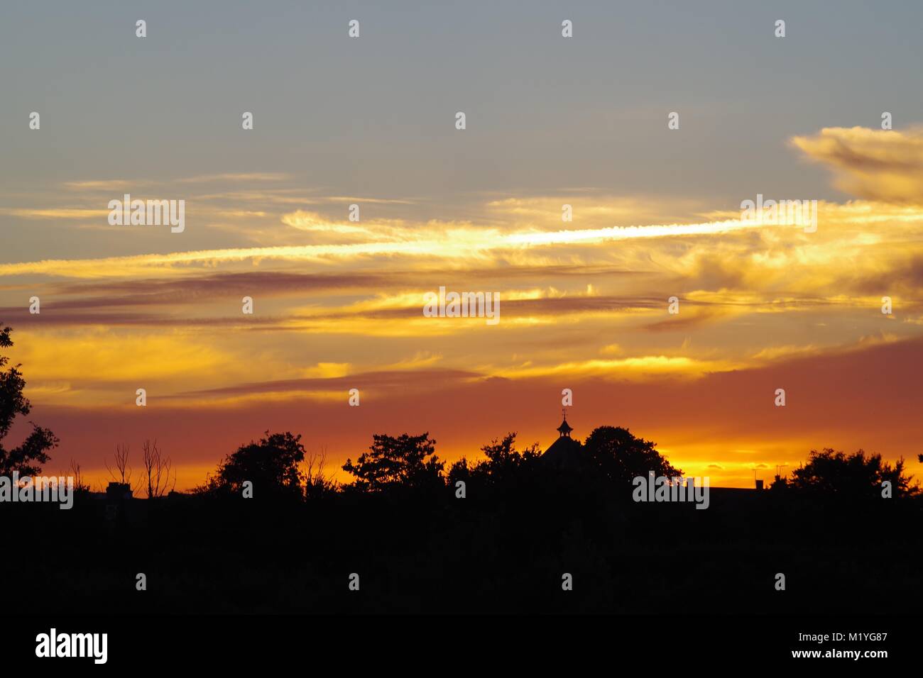 English Treeline High Resolution Stock Photography and Images - Alamy