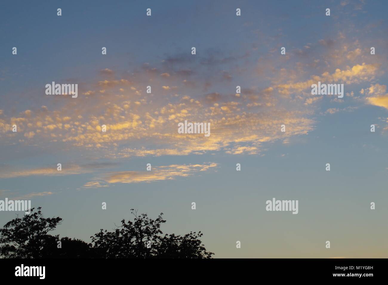 West clyst exeter hi-res stock photography and images - Alamy