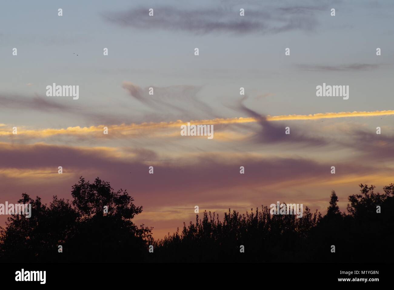 Subtle Sunset with Interesting Clouds and a Silhouetted Hedge Row on a ...