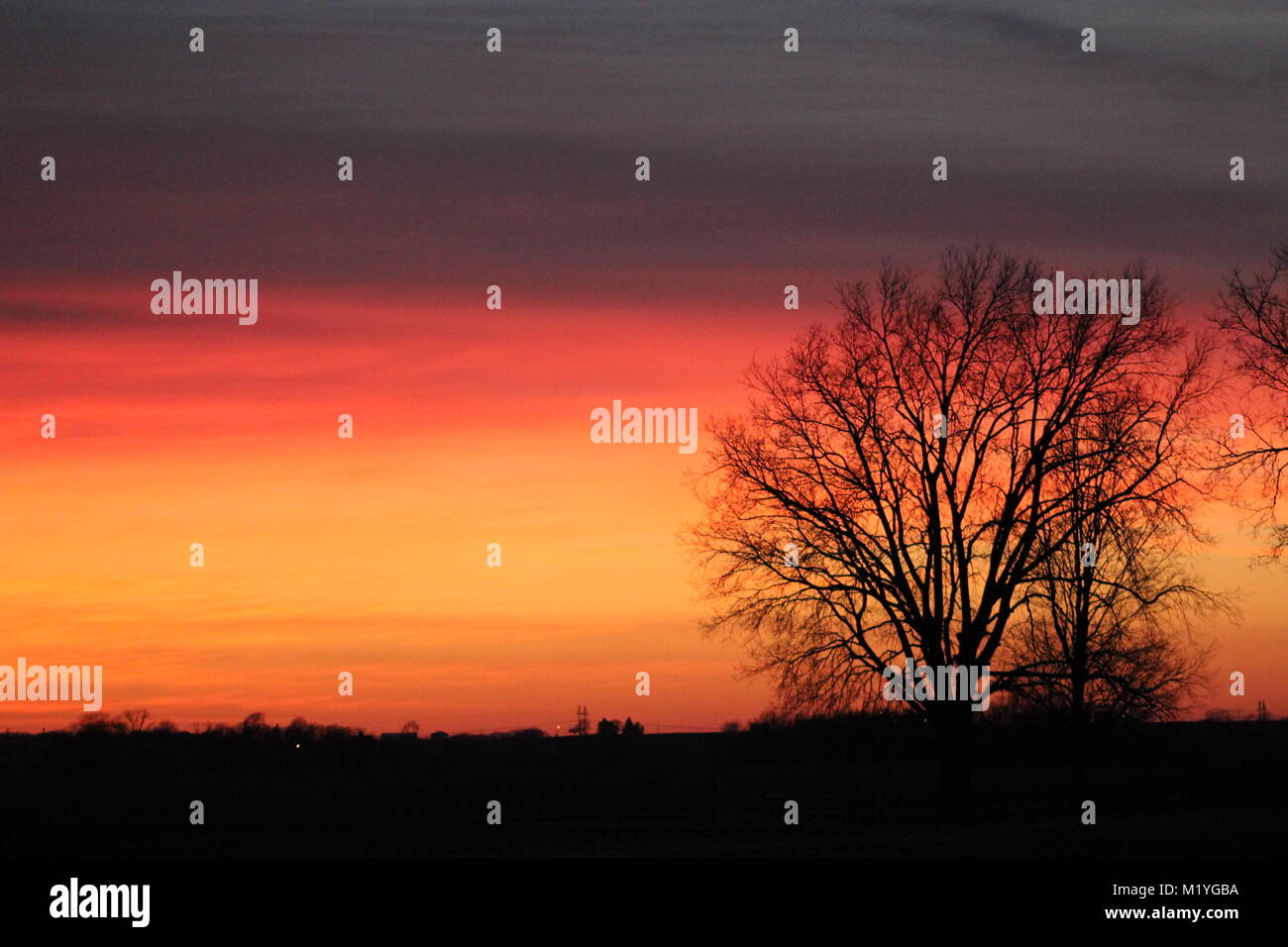 sunset through tree Stock Photo - Alamy