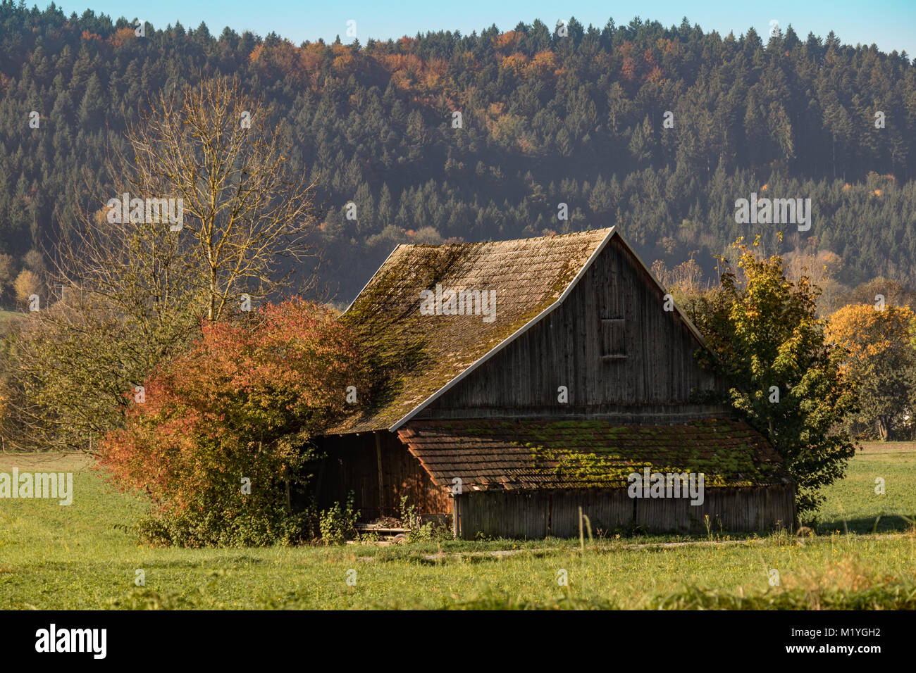 Old barn and fog at sunrise hi-res stock photography and images - Alamy