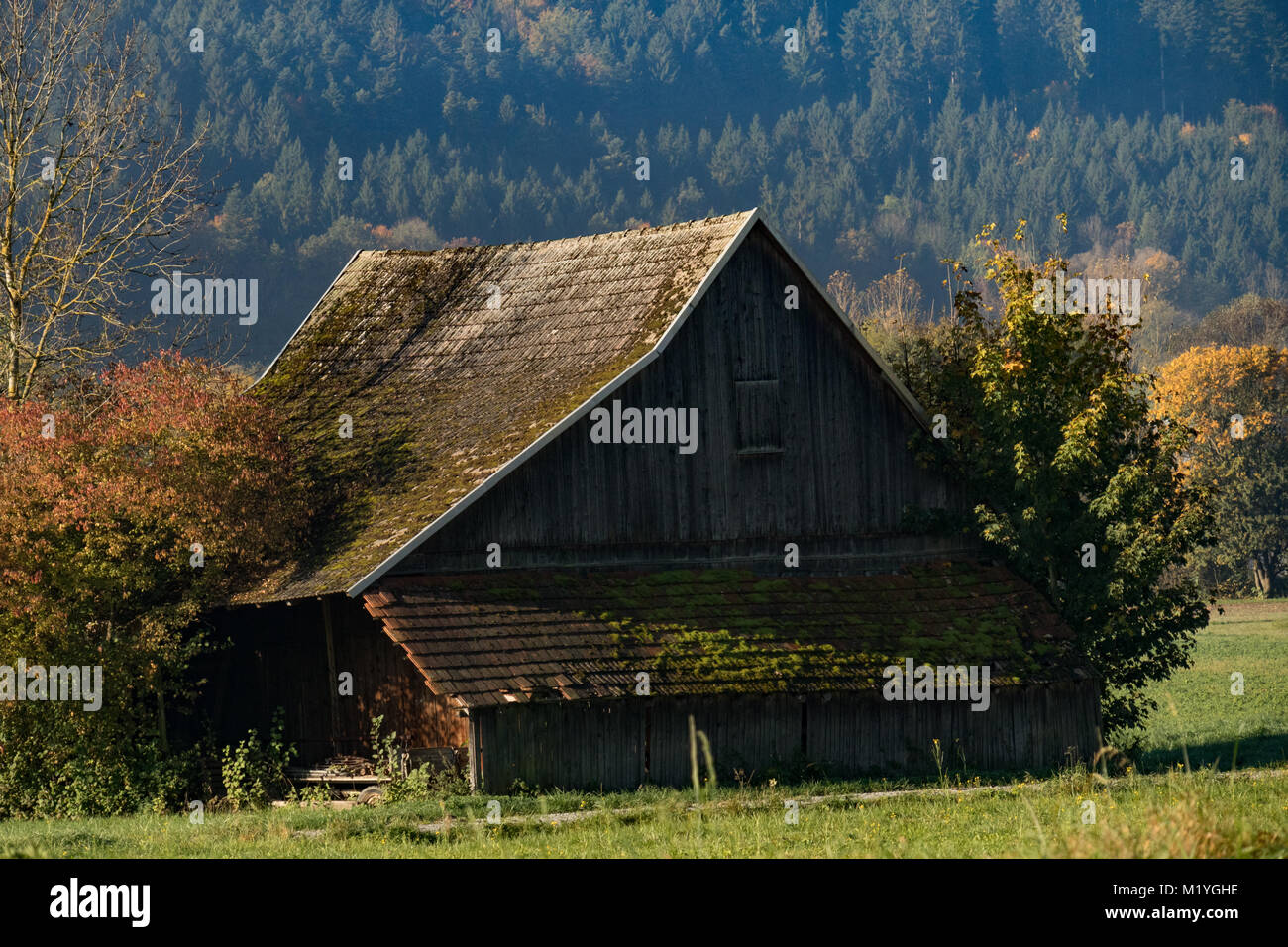 Old wooden Barn in Germany at sunrise Stock Photo - Alamy
