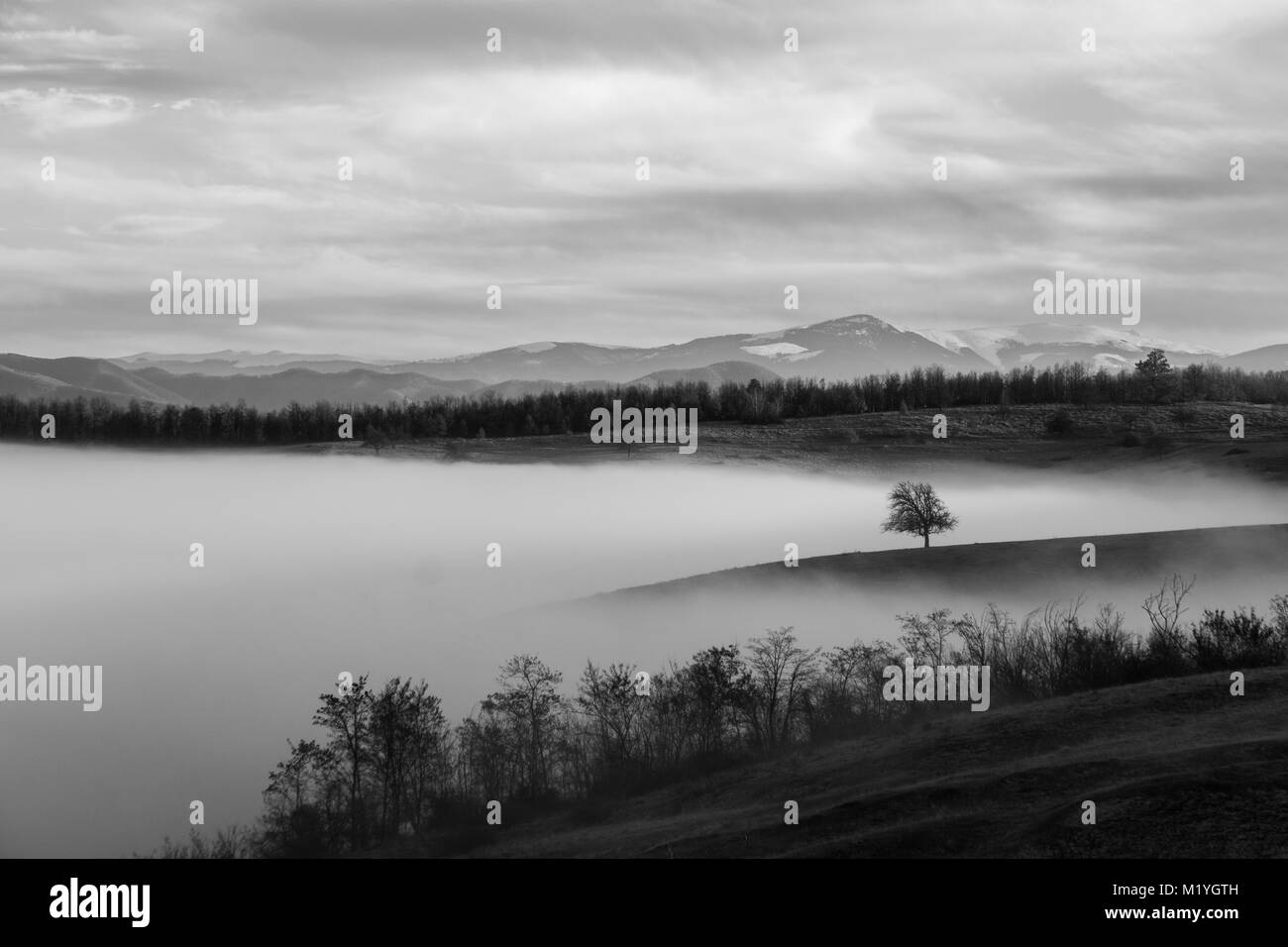 Landscape rolling hills trees Black and White Stock Photos & Images - Alamy
