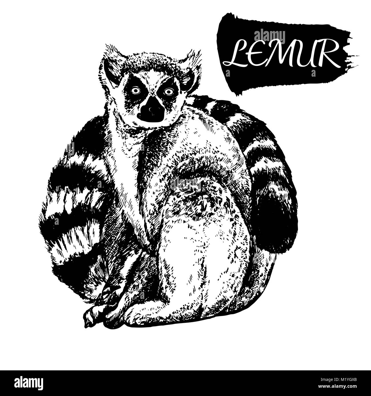 Portrait pen isolated on Stock Vector Images - Alamy