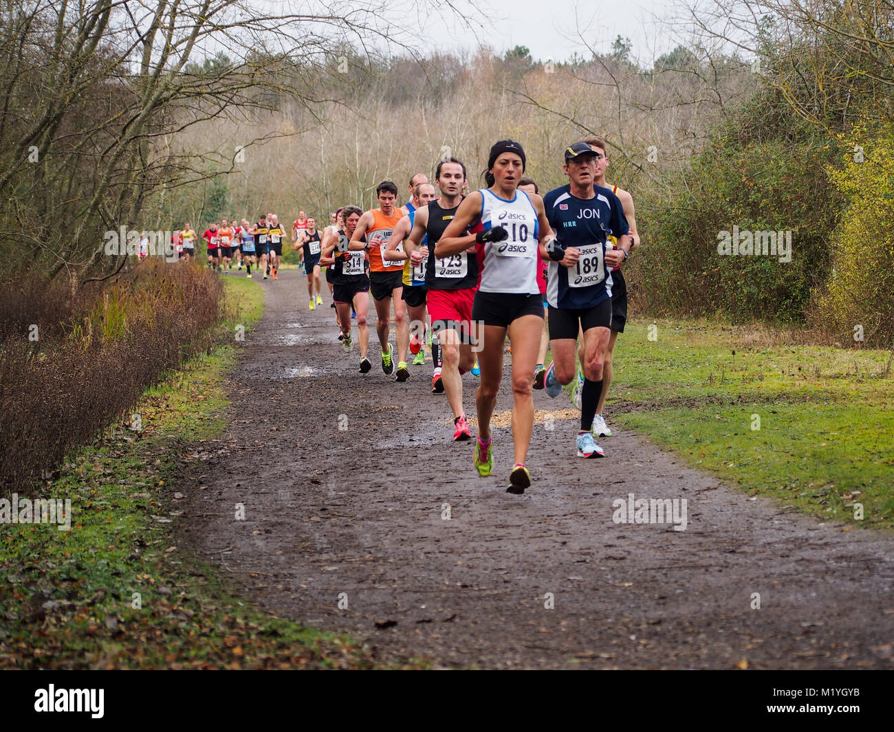 Runners taking part in an off road, trail race Stock Photo - Alamy