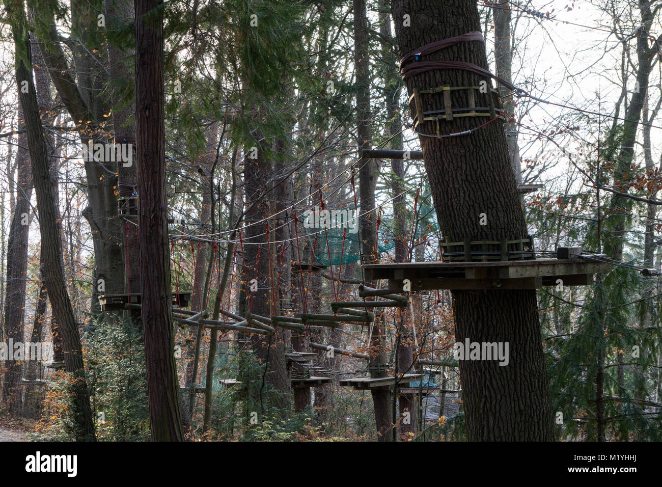 Adventure park in the canopy Stock Photo - Alamy