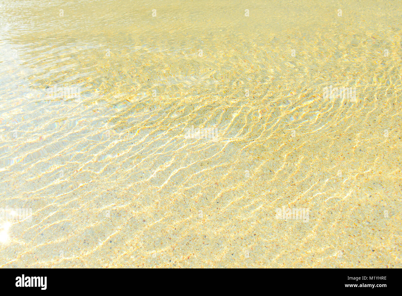 Swimming pool blue water with a wave and sunlight reflection effect ...