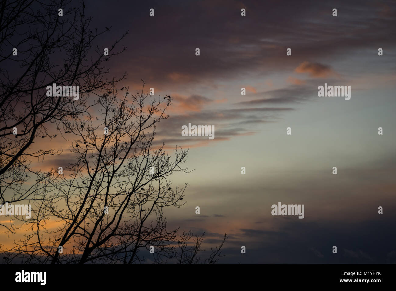 Sun rays in the evening red hi-res stock photography and images - Alamy