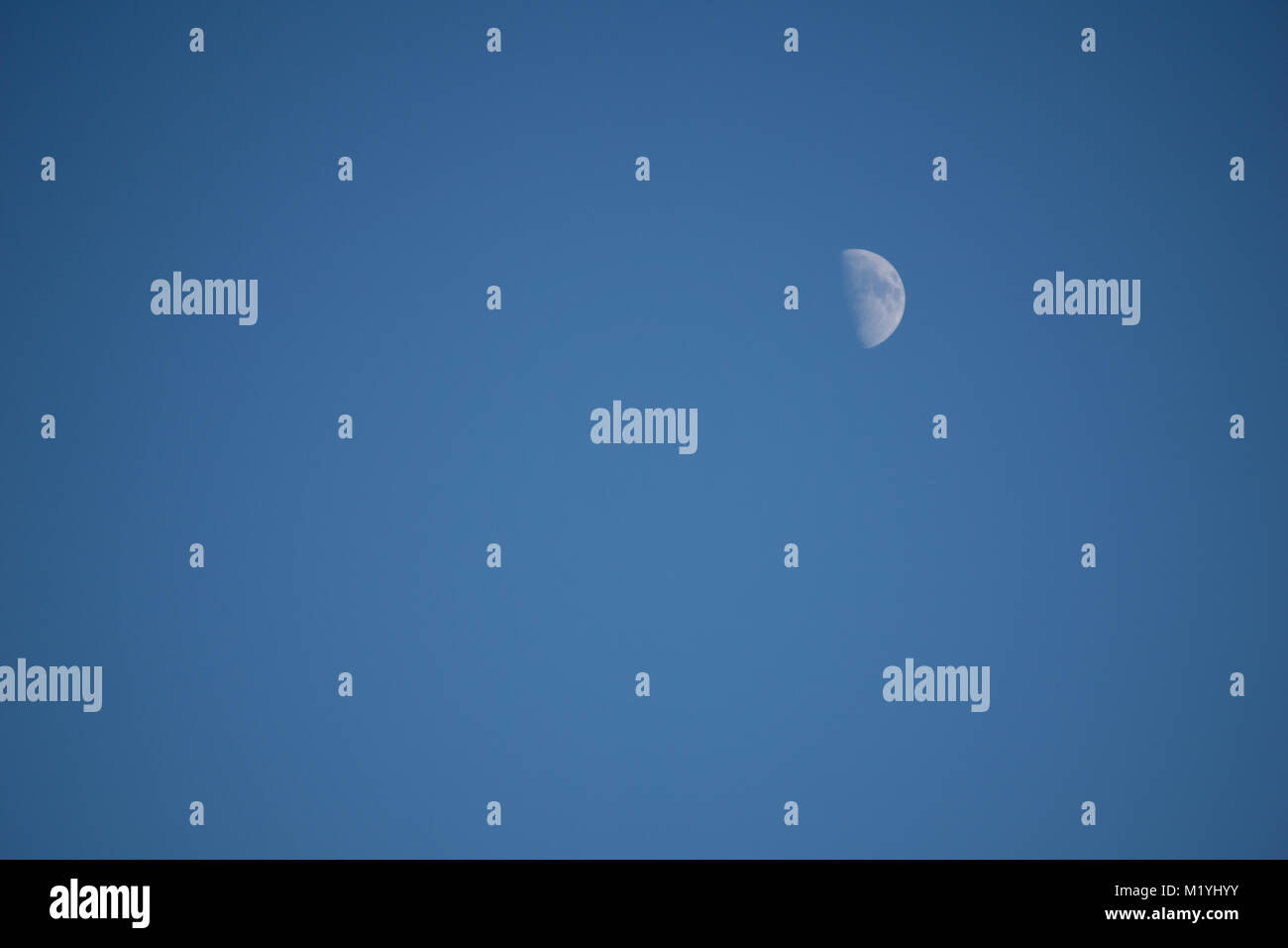 The moon out in the daylight Stock Photo - Alamy