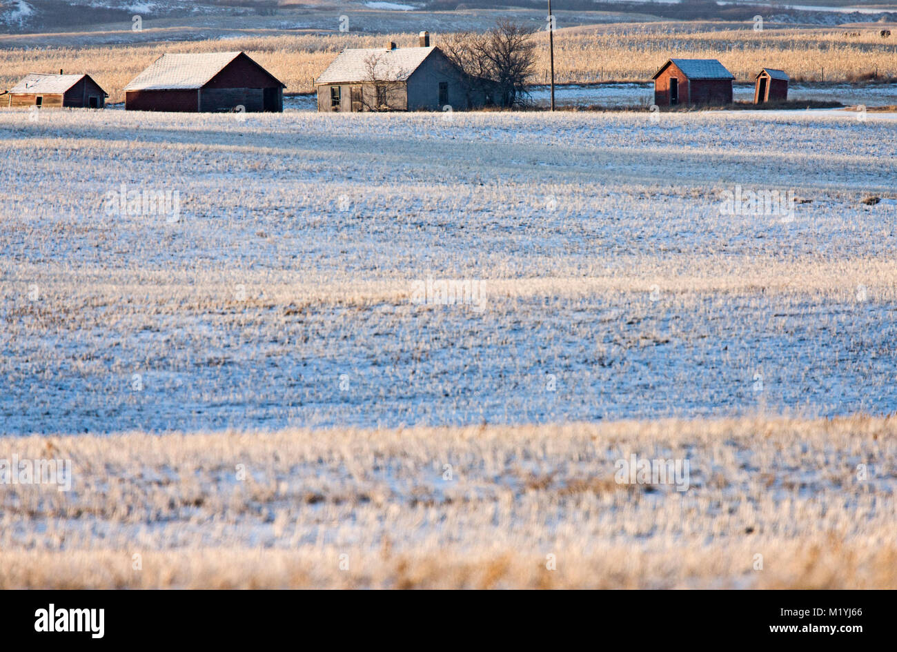 Saskatchewan winter sun hi-res stock photography and images - Alamy