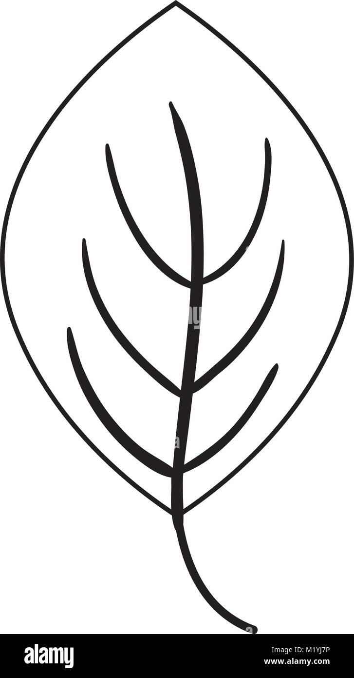 Lush plants line Black and White Stock Photos & Images - Alamy