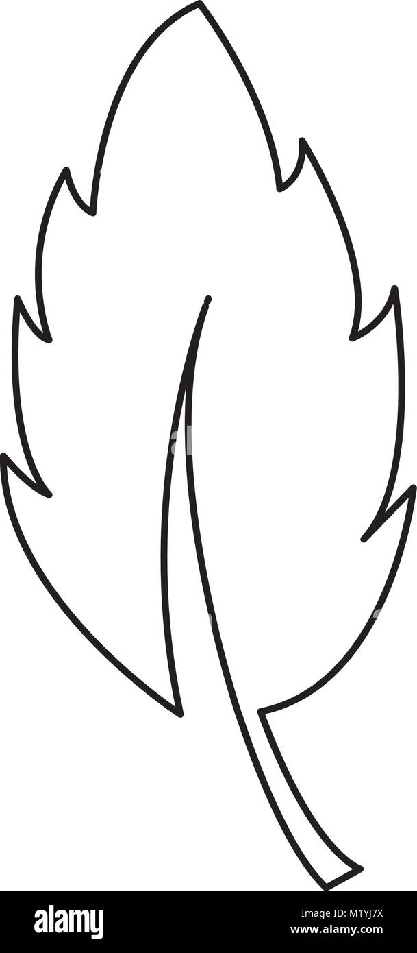 Lush plants line Black and White Stock Photos & Images - Alamy