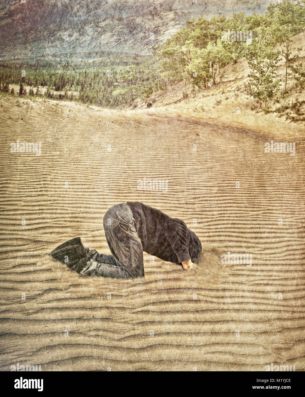 Head in sand hi-res stock photography and images - Alamy