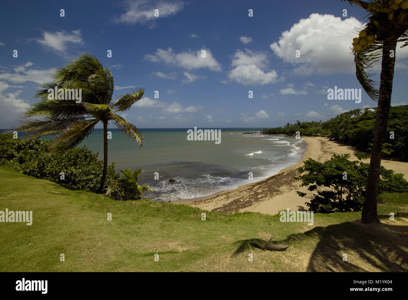 Rincon lighthouse puerto rico hi-res stock photography and images - Alamy