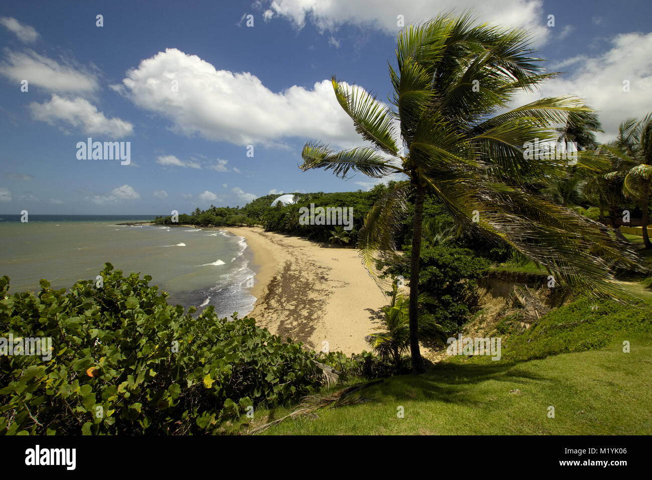 Rincon lighthouse puerto rico hi-res stock photography and images - Alamy