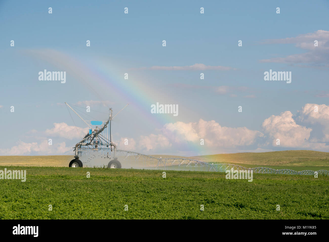 Irrigation pivot watering a field in Alberta, Canada with a rainbow ...