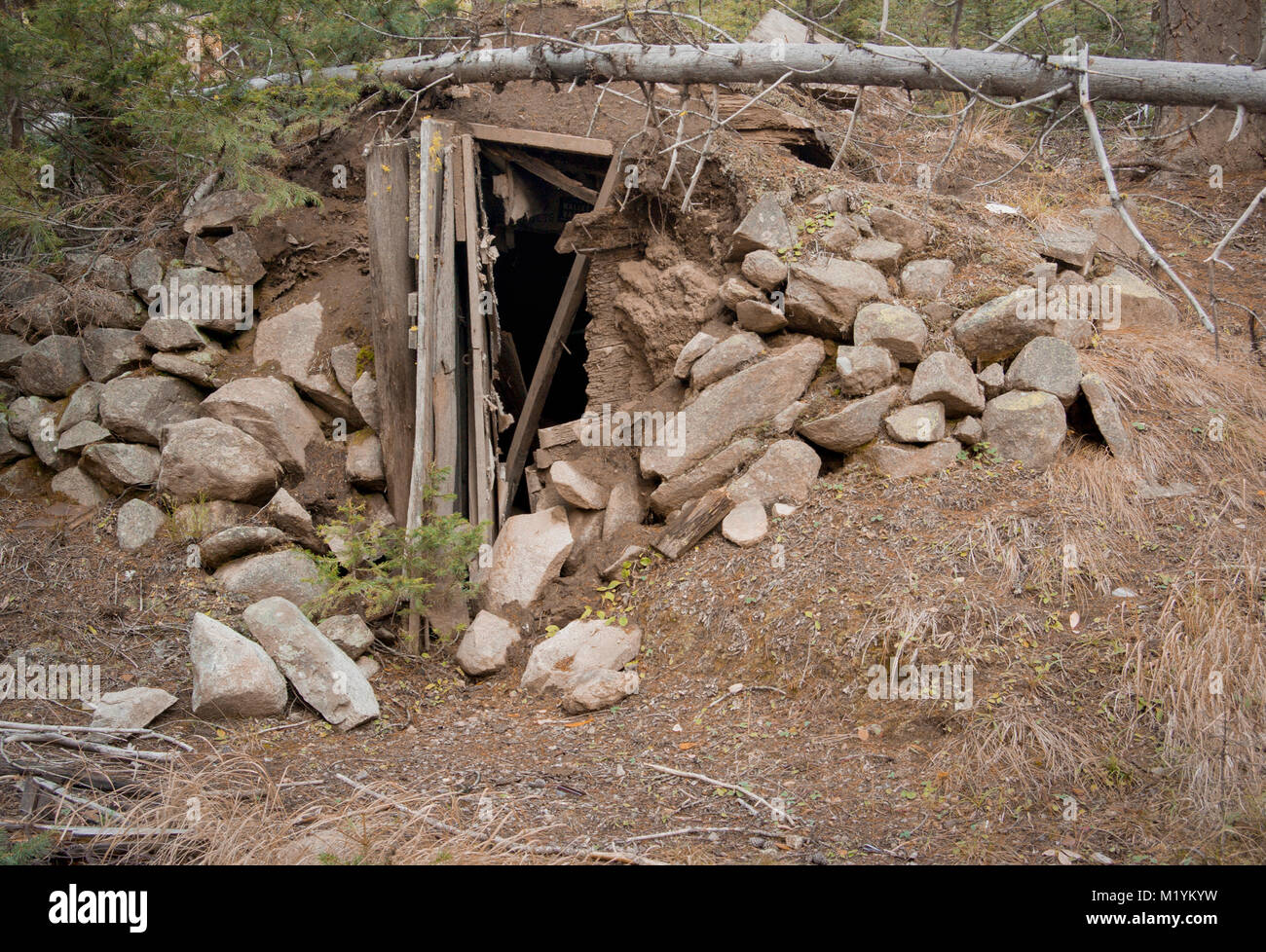 Root cellar hi-res stock photography and images - Alamy