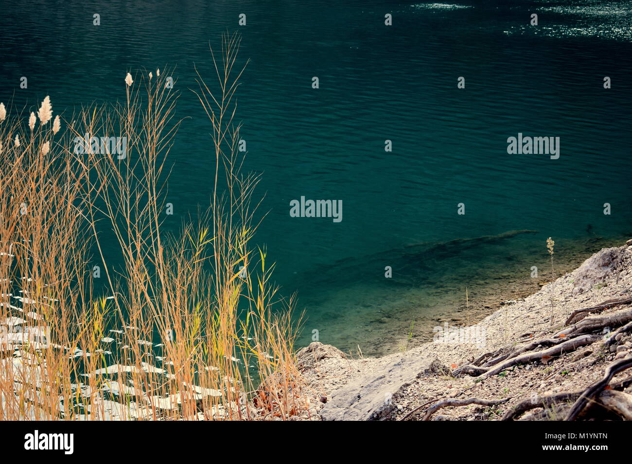 Natureonly hi-res stock photography and images - Alamy