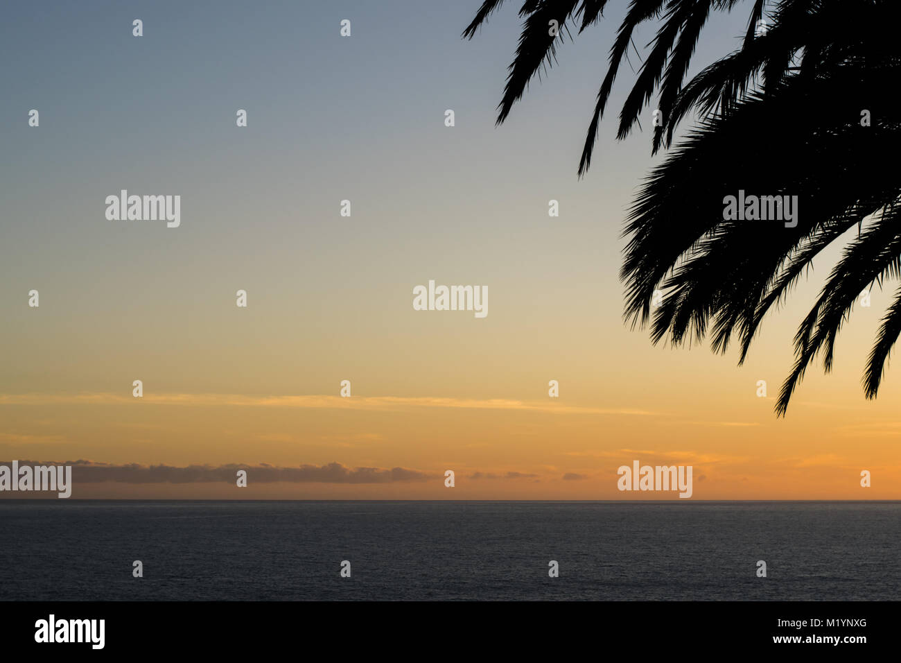 Chill tropical sunset Stock Photo - Alamy