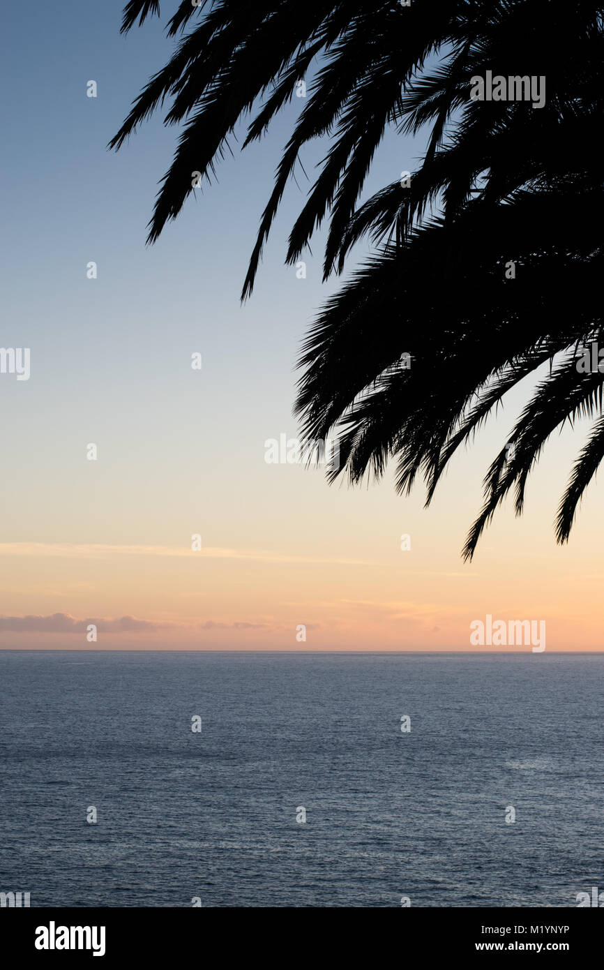 Chill tropical sunset Stock Photo - Alamy