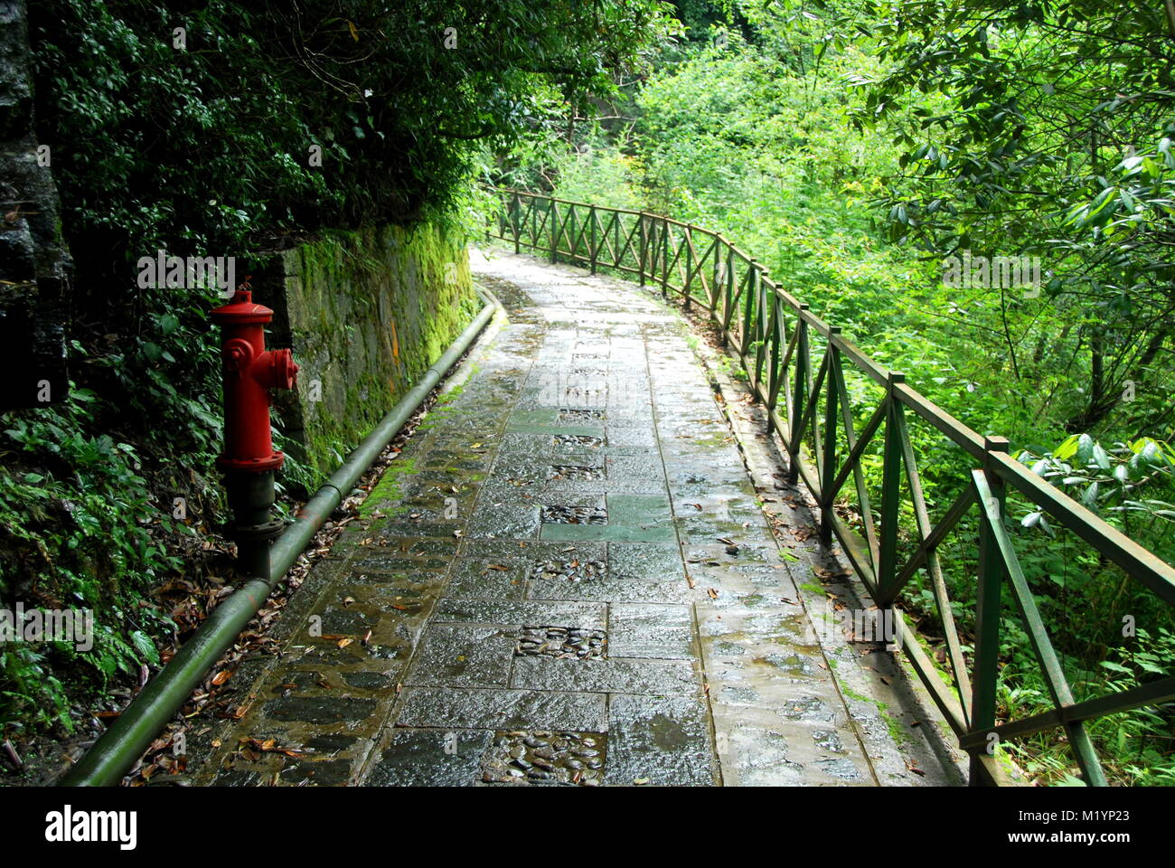 The hiking path through Mount Cangshan in Dali, Yunnan, China Stock ...