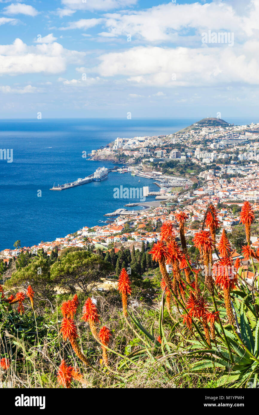 madeira portugal madeira view of Funchal the capital city of Madeira ...