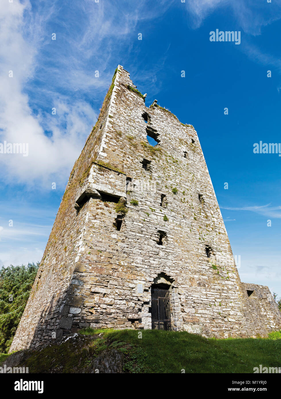 The 16th century tower-house known as Ballinacarriga Castle, between ...