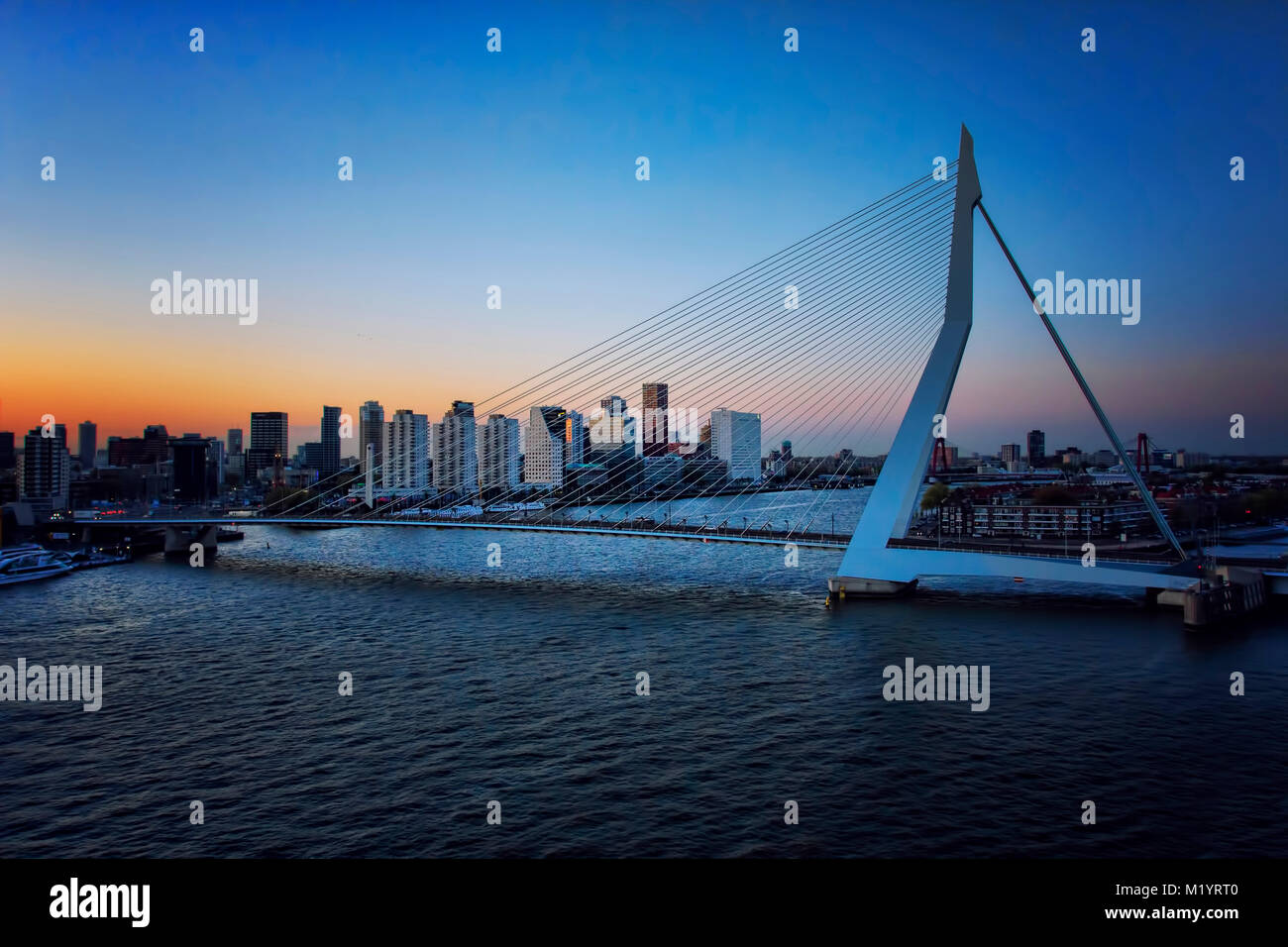 Night view of Erasmus Bridge in Rotterdam Stock Photo - Alamy