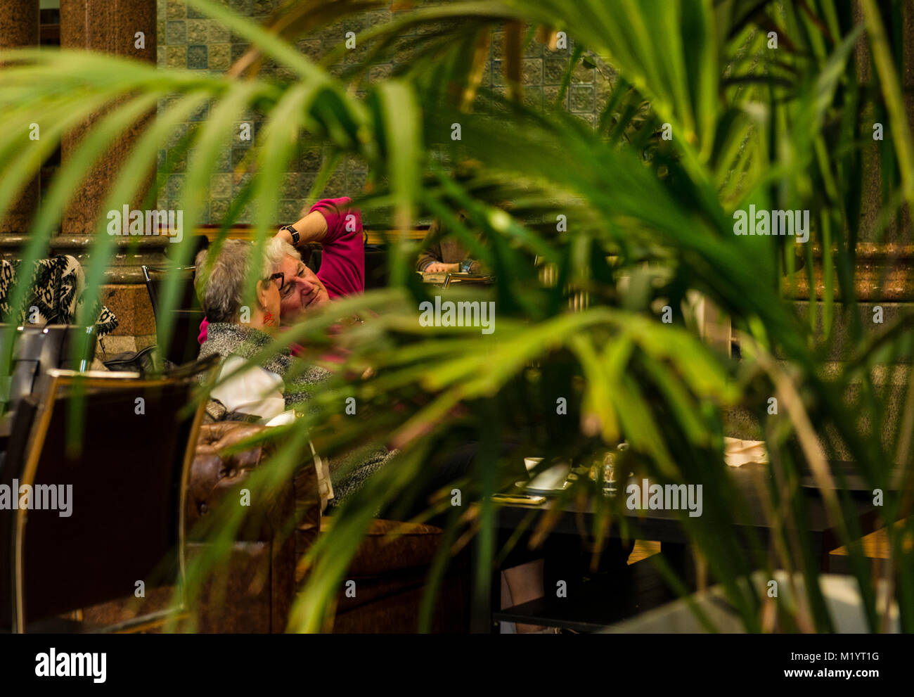 Modern woman hiding behind hi-res stock photography and images - Alamy