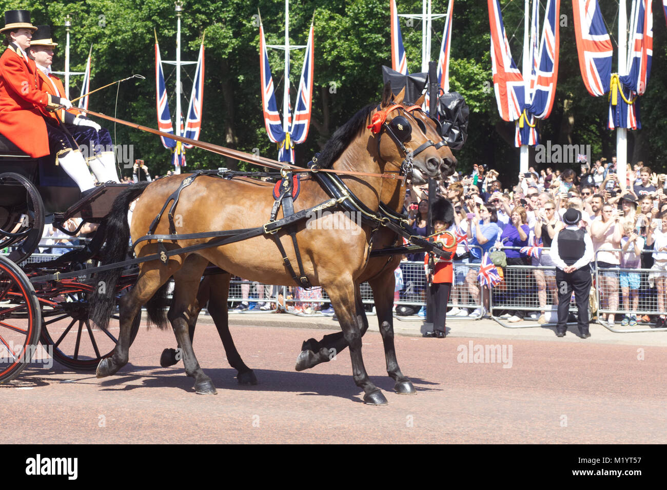 The Royal carriage, The Mall London Stock Photo - Alamy