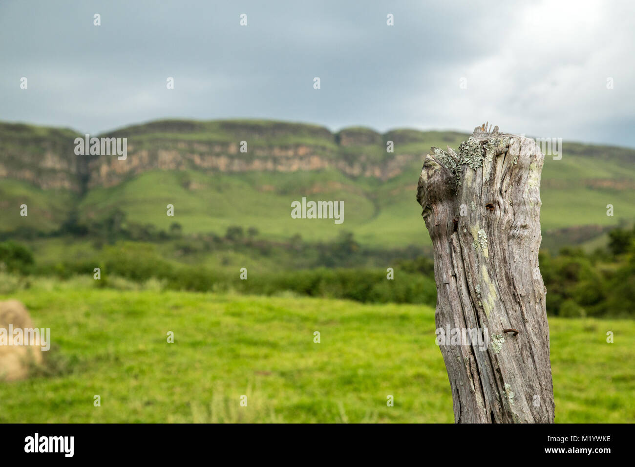 National park brazil serra da canastra Stock Photo - Alamy