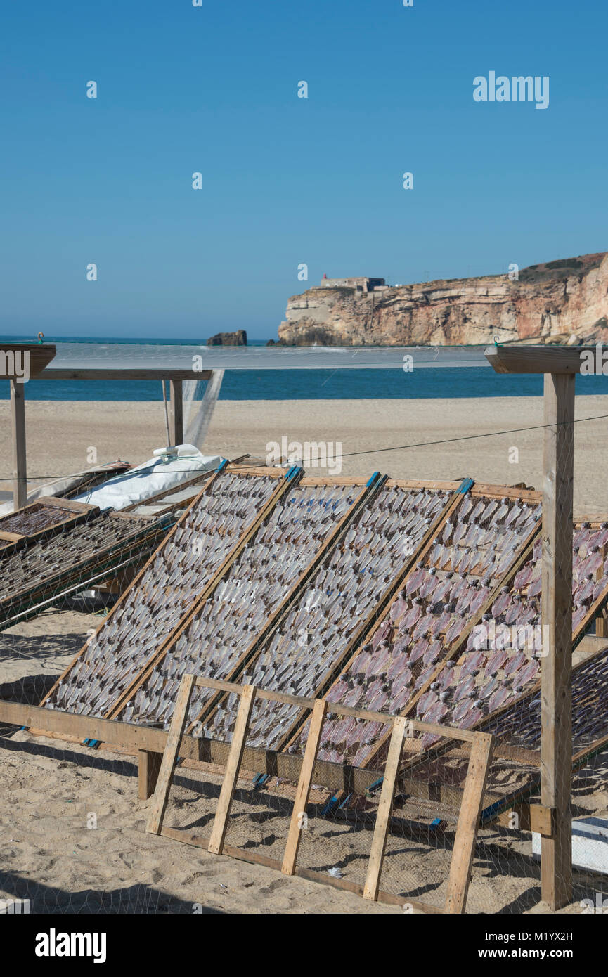 racks of drying fish in the sun on the beach at Nazare, Portugal Stock ...