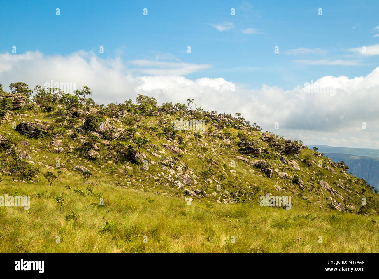 National park brazil serra da canastra Stock Photo - Alamy