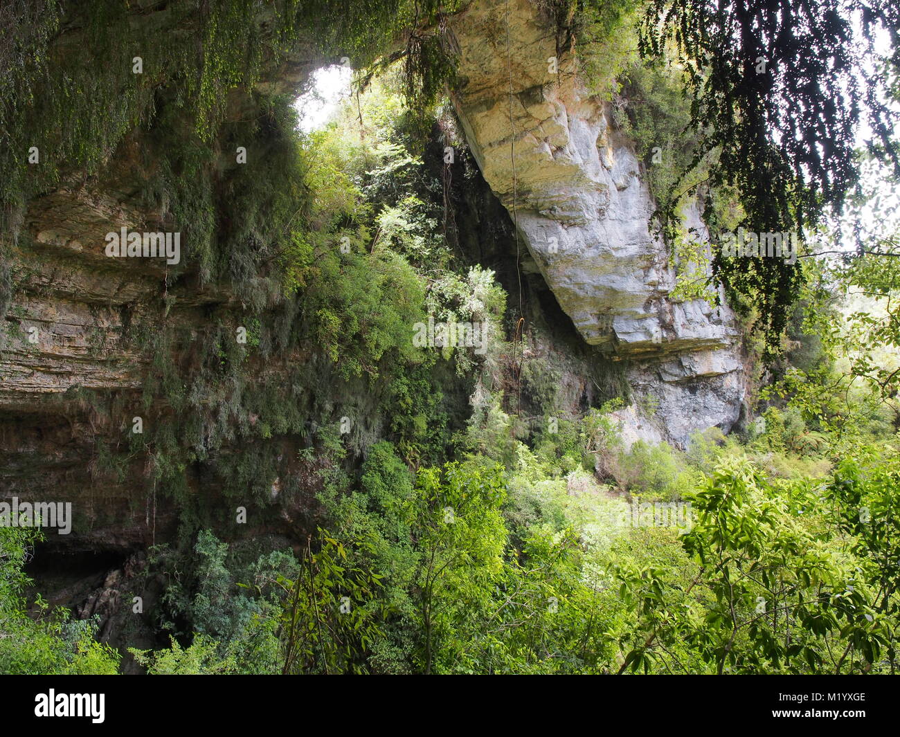 Oparara basin hi-res stock photography and images - Alamy