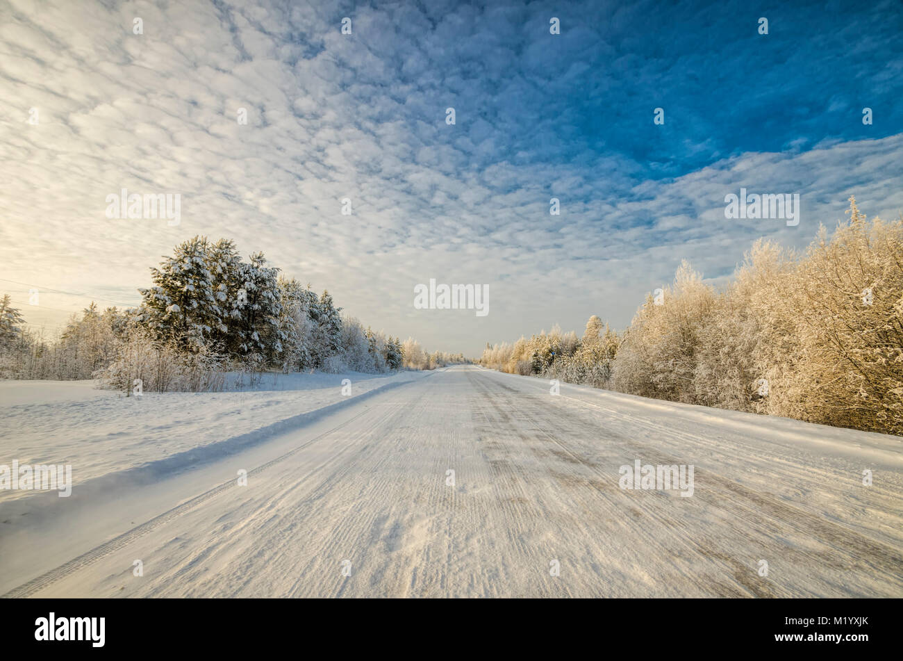Russia taiga road hi-res stock photography and images - Alamy