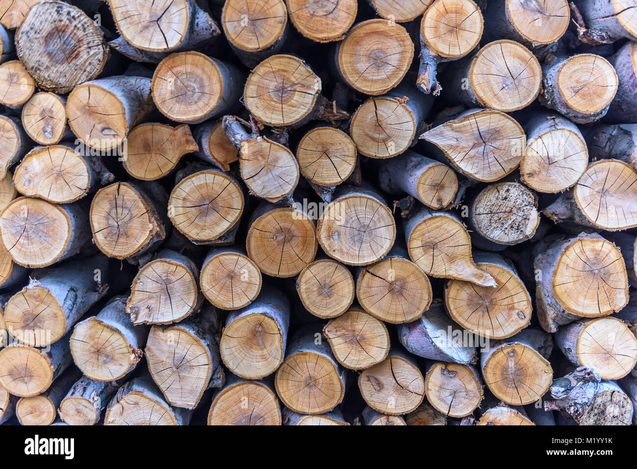 Stack of lumber chopped as firewood Stock Photo - Alamy