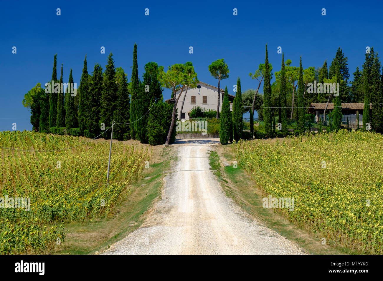 Typical farm along the road from Terni to Narni (Umbria, Italy). Summer ...