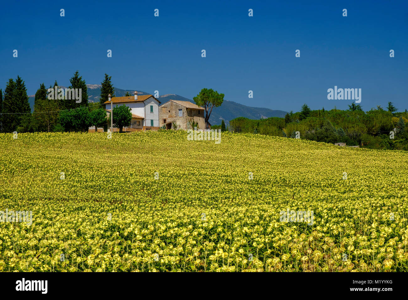 Typical farm along the road from Terni to Narni (Umbria, Italy). Summer ...
