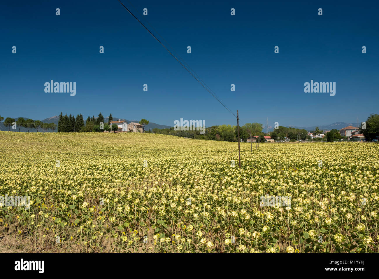 Typical farm along the road from Terni to Narni (Umbria, Italy). Summer ...