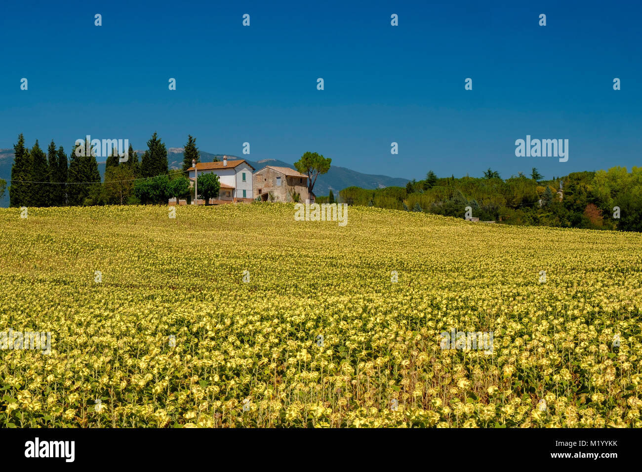 Typical farm along the road from Terni to Narni (Umbria, Italy). Summer ...