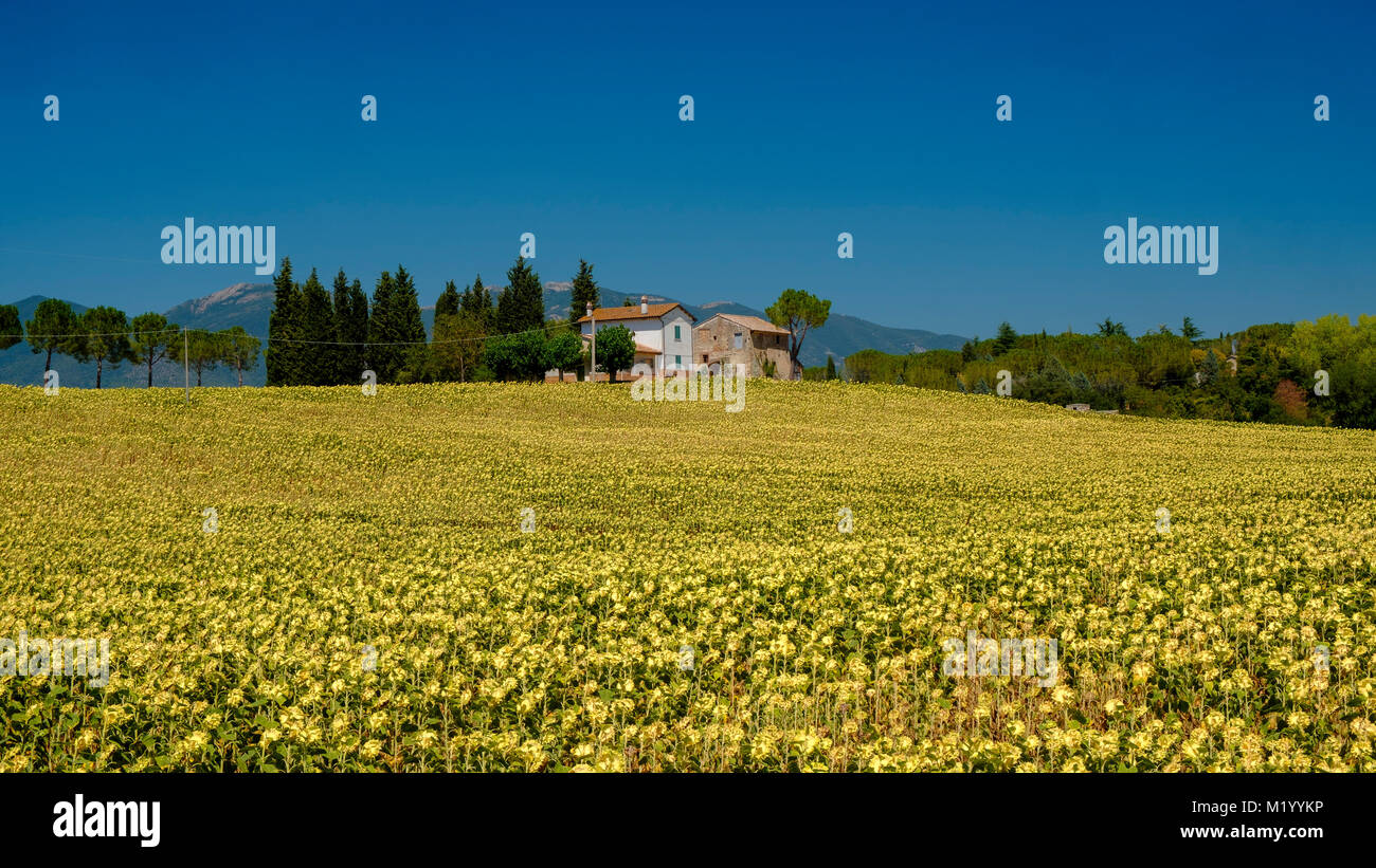 Typical farm along the road from Terni to Narni (Umbria, Italy). Summer ...