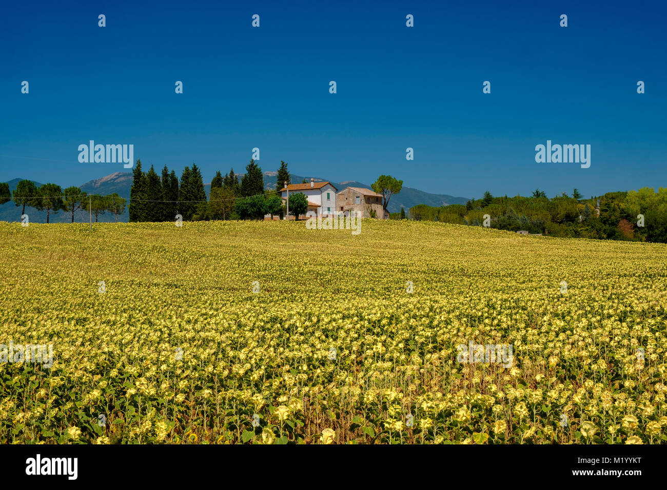 Typical farm along the road from Terni to Narni (Umbria, Italy). Summer ...