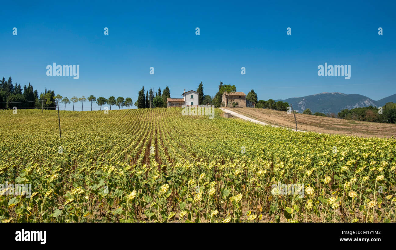 Typical farm along the road from Terni to Narni (Umbria, Italy). Summer ...